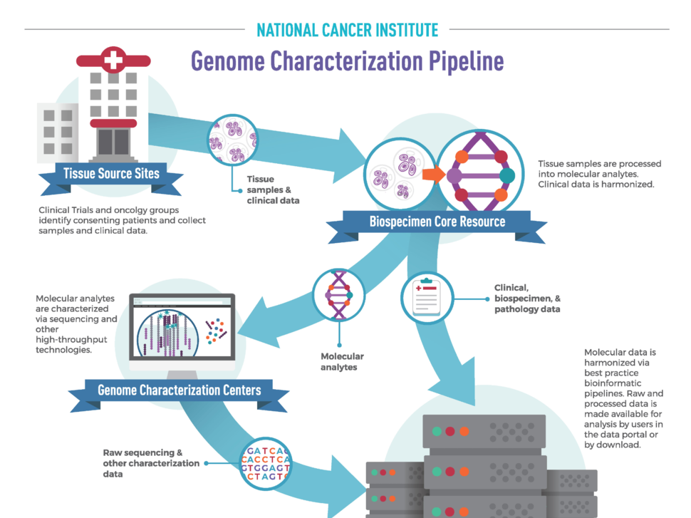 Genome Characterization Pipeline Nci